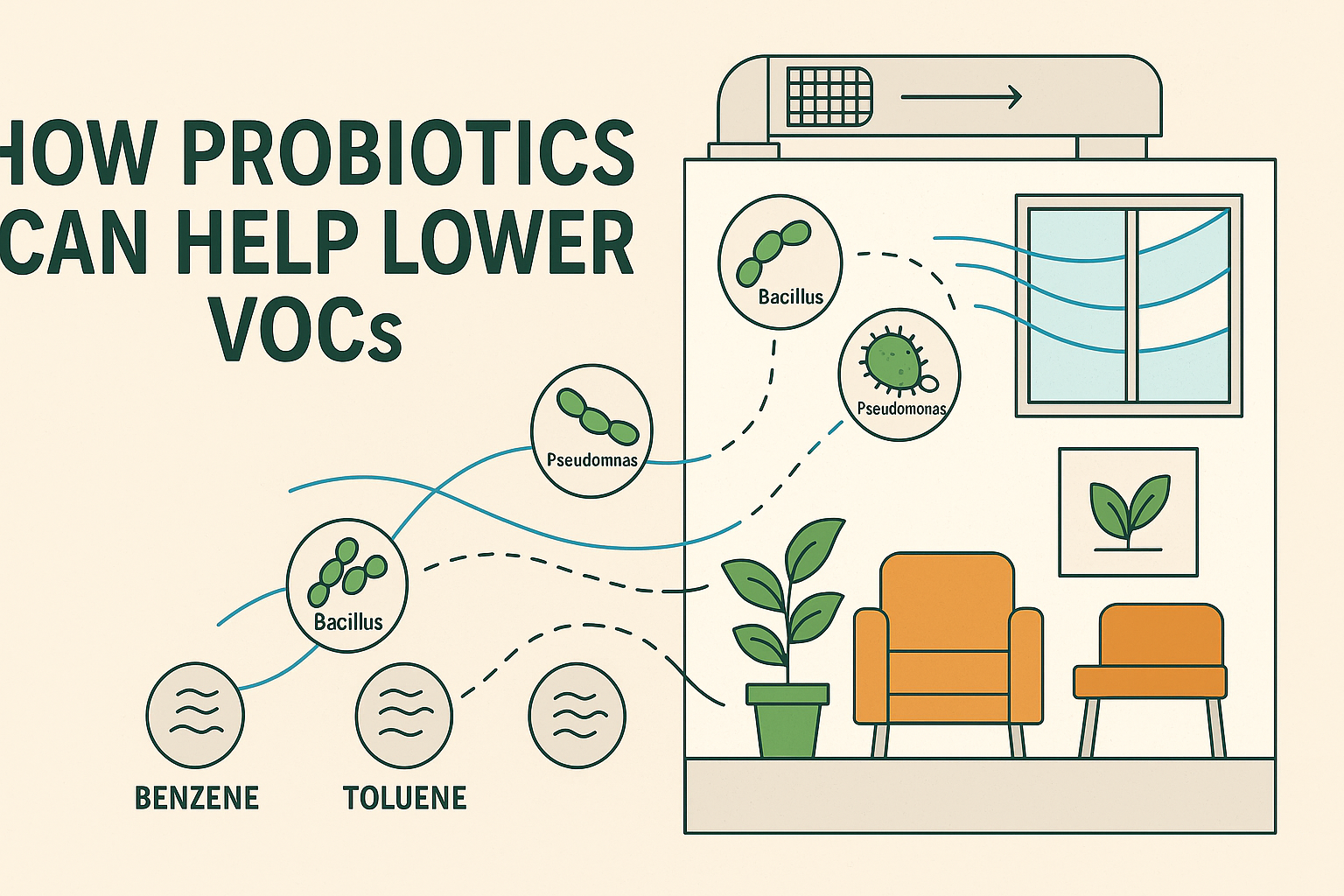 How Probiotics Can Help Lower Indoor VOCs – Odor Supply House